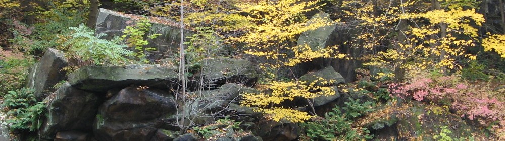 The Chuckery Race | Community Archaeology Program