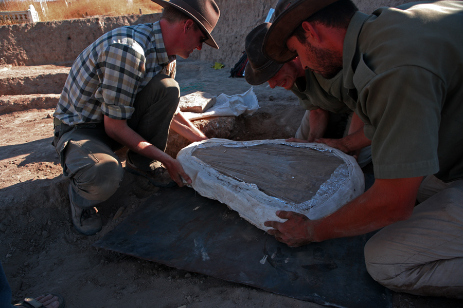 Ziyaret Tepe – Follow the archaeological excavations at Ziyaret Tepe ...