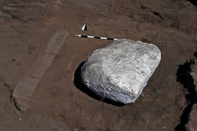 Ziyaret Tepe – Follow the archaeological excavations at Ziyaret Tepe ...